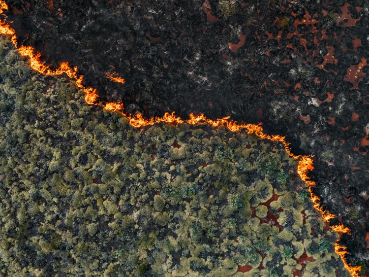 What is Planning for Bushfire Protection 2019 | Ironclad Blue Mountains